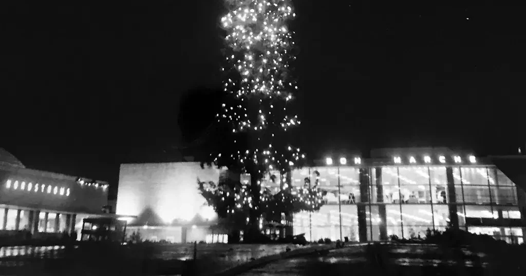 The Tallest Christmas Tree Ever: A Towering Holiday Wonder ...