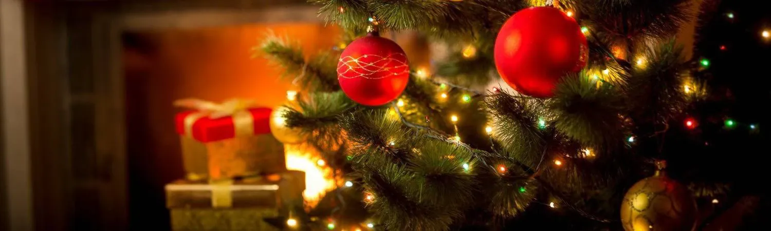 Don't dispose of your real Christmas tree; eat it instead ...